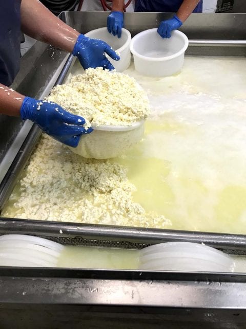 How To Make Organic Gouda Cheese